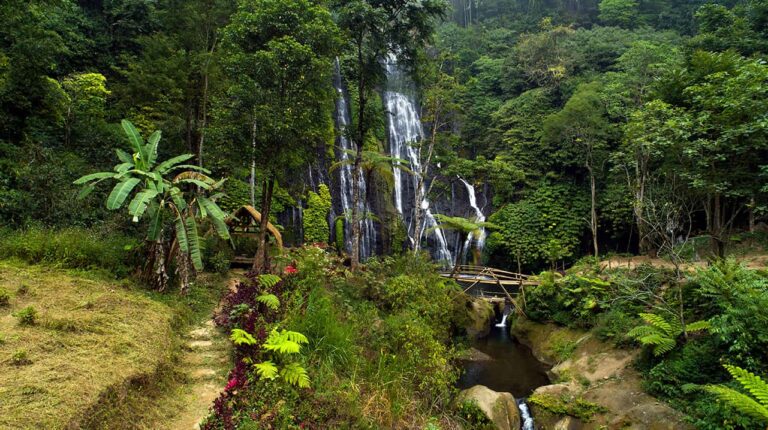 Banyumala Twin Waterfall: A Complete Guide To Bali's Scenic Hidden ...